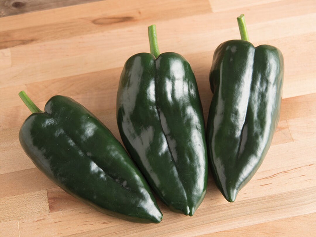 Pepper Seeds, Poblano Hot Peppers, Baron Variety, Large, Stuffing ...