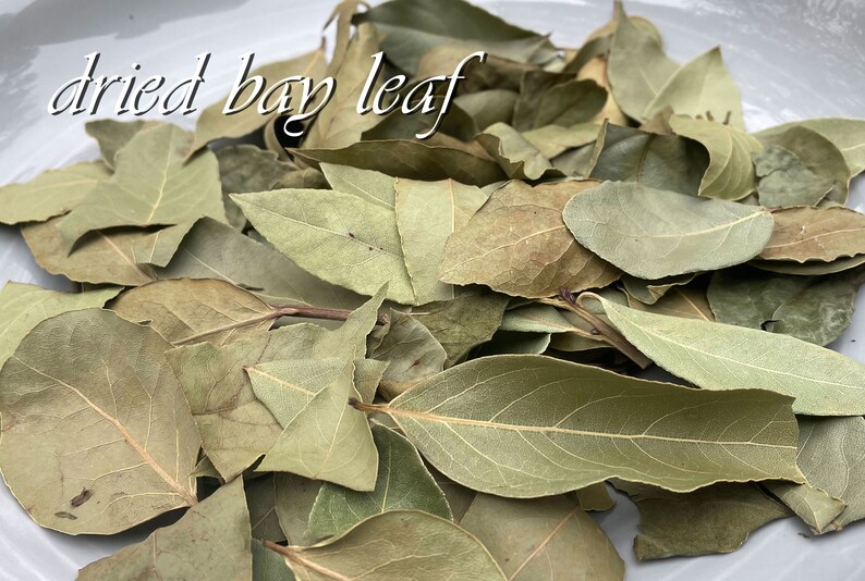 Bay Laurel Tree: Laurus Nobilis, Aromatic Herb (14 Inch) - Etsy
