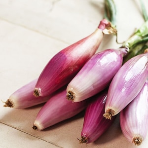 Onion Seeds, Red Purple Onion With Oblong Bulbs, Gourmet Cooking ...