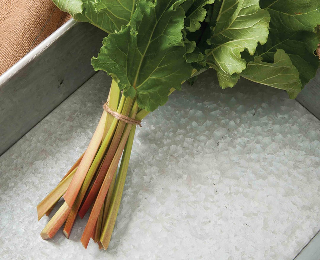 Rhubarb Seeds, Rheum Rhabarbaraum, Growing and Cooking Rhubarb - Etsy