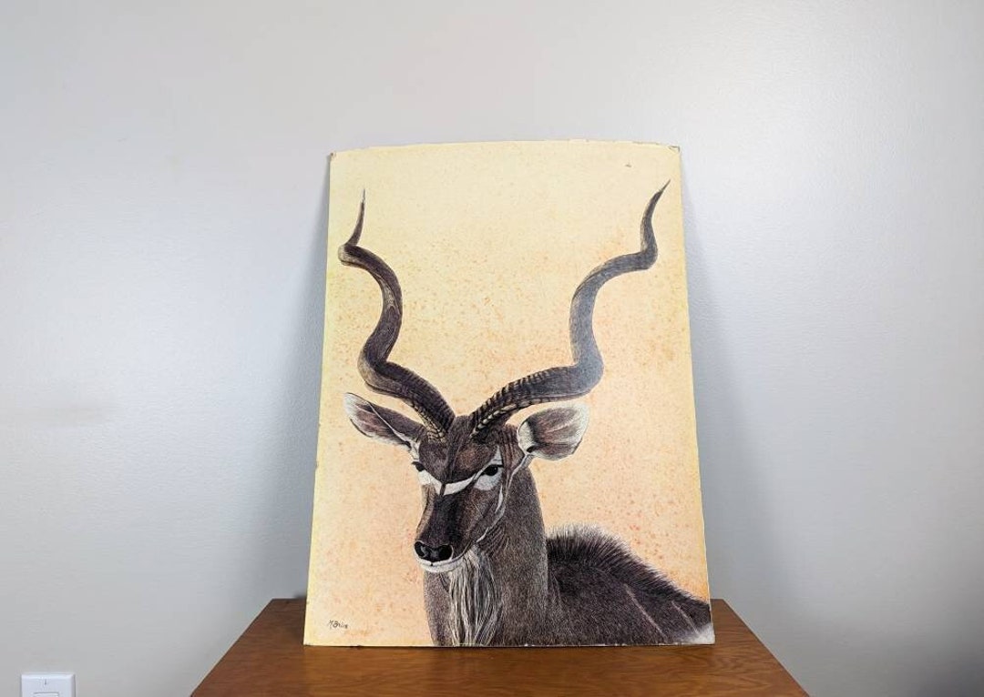 Vintage M Brice Antelope Print on Board / Free US Shipping - Etsy