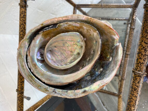 Vintage Gorgeous Natural Abalone Shell Family / Set o… - Gem
