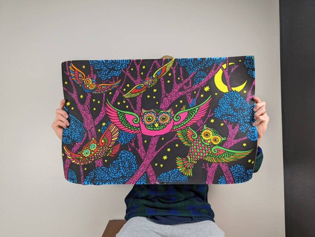 Vintage Mid Century Rare Authentic Midnight Owls Third Eye - Etsy