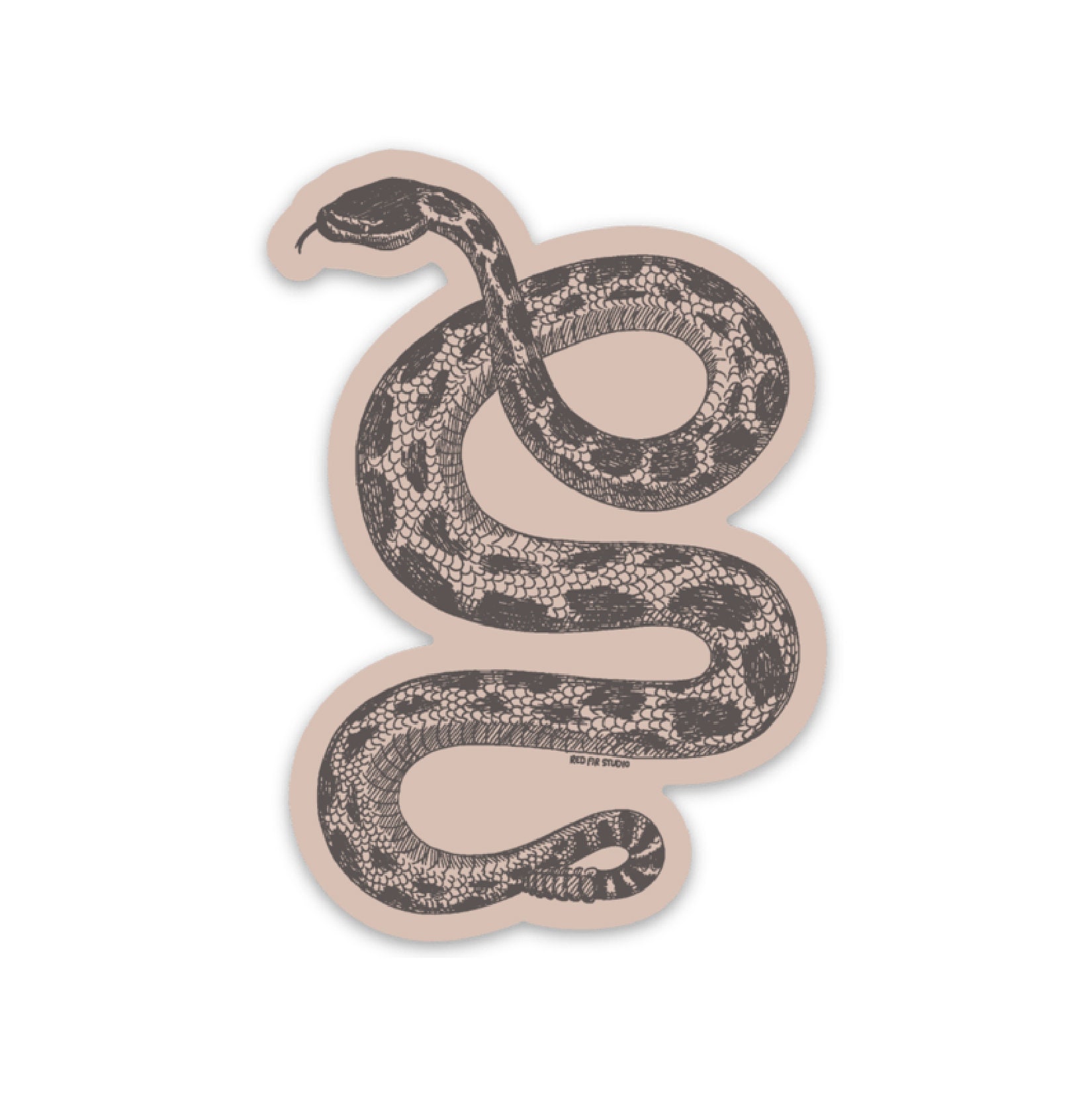 Rattlesnake [sticker] - Etsy
