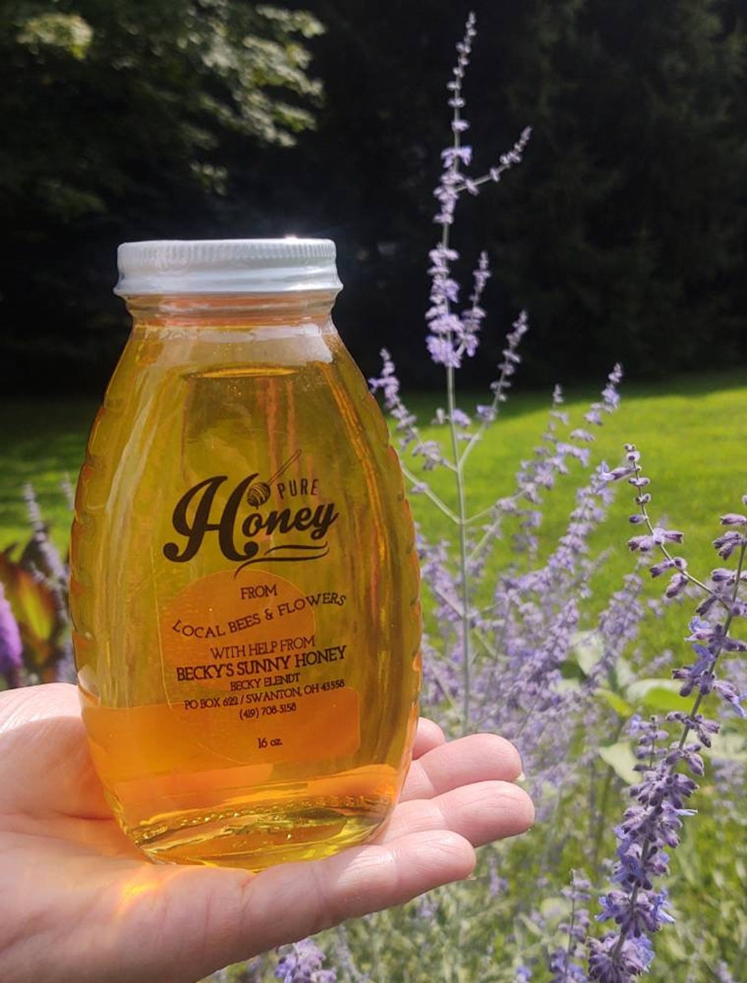 Becky's Sunny Honey! Local, Homemade Honey From Master Beekeeper - Etsy