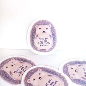Hedge Hog Sticker, Vinyl Sticker, Quote Sticker, Character Sticker ...