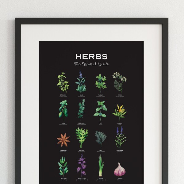 Herb Poster - Etsy