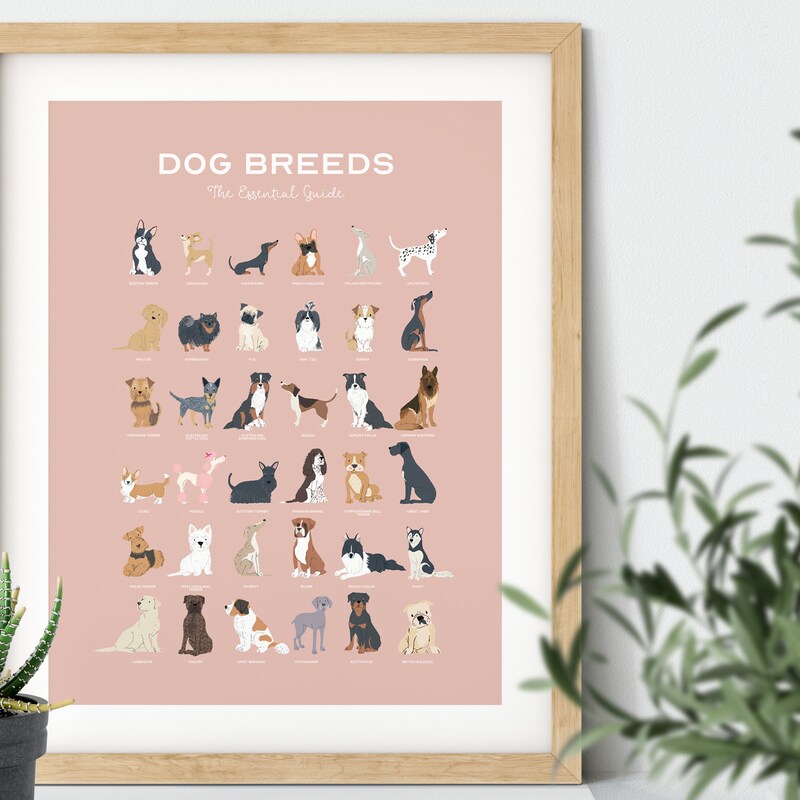 Dog Breeds Poster - Etsy