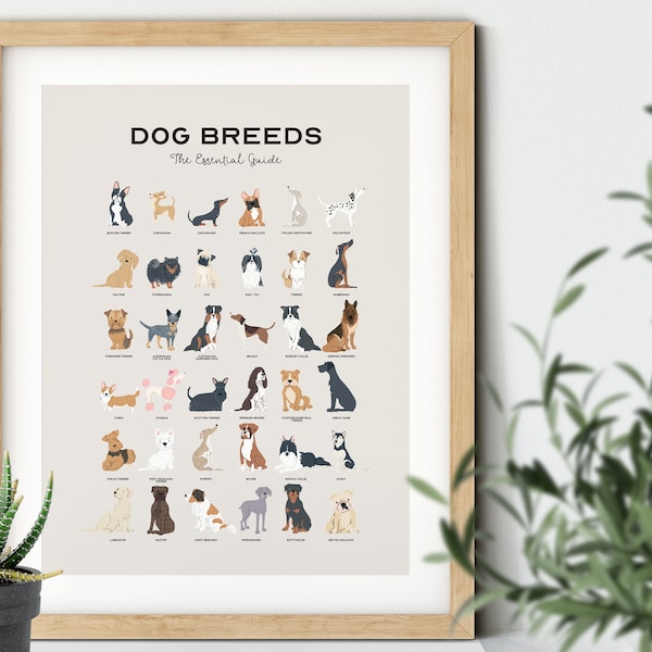 Dog Breeds Poster - Etsy