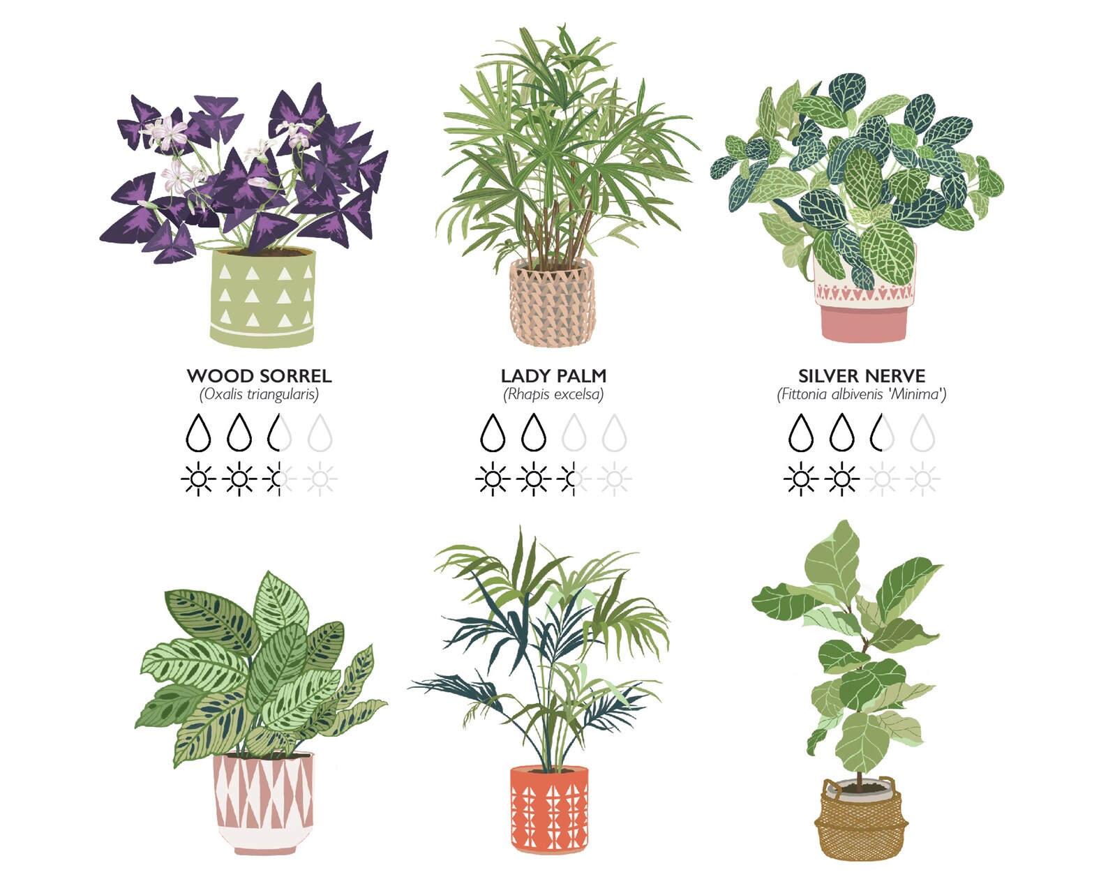 Indoor Plant Guide House Plants Poster Houseplants Print | Etsy