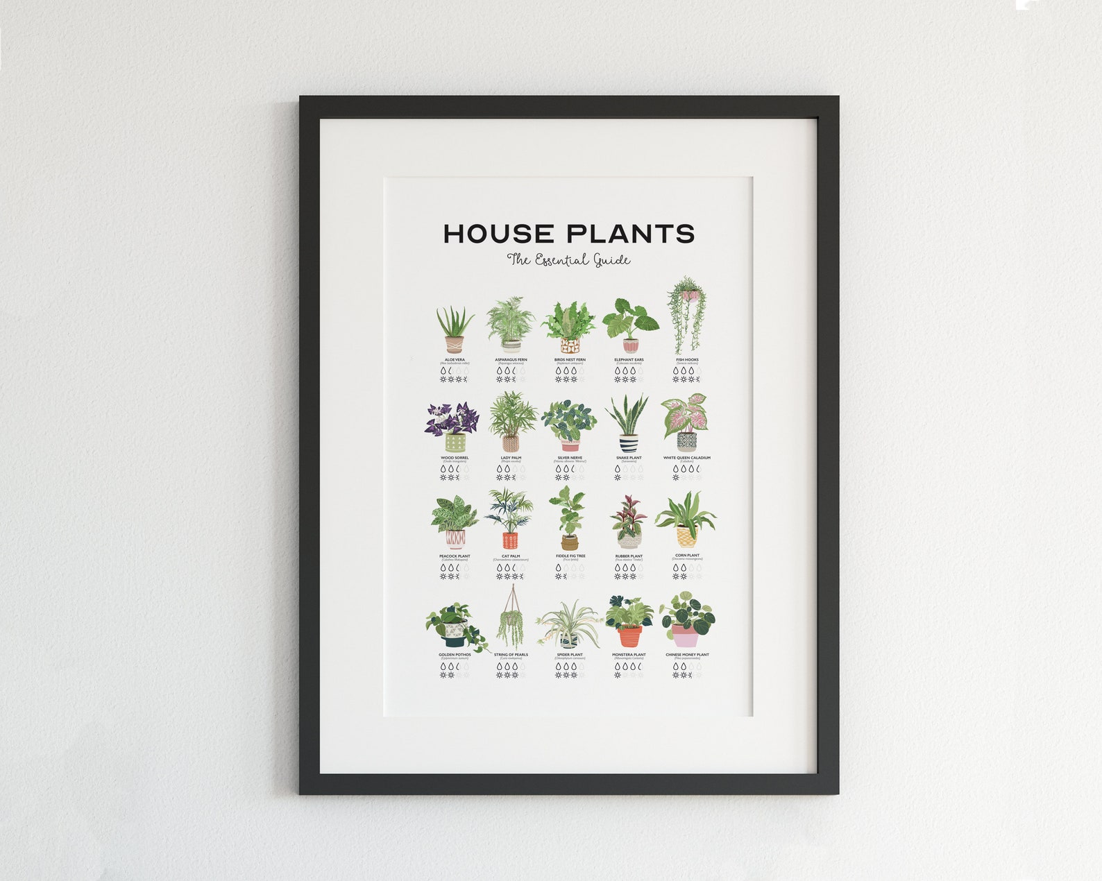 House Plants Poster Indoor Plant Print Houseplants Print - Etsy