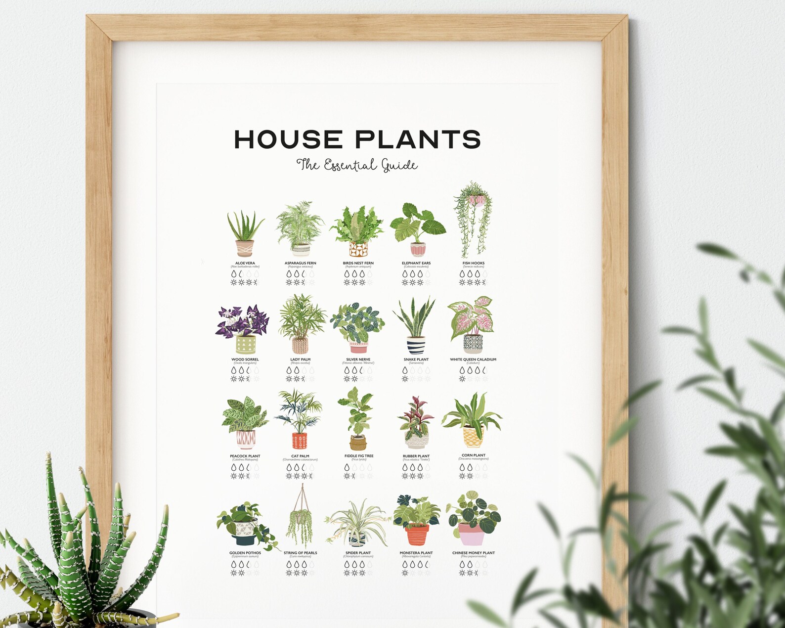 House Plants Poster Indoor Plant Print Houseplants Print - Etsy
