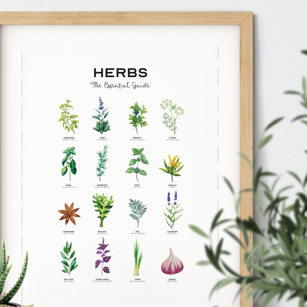 Herb Poster - Etsy