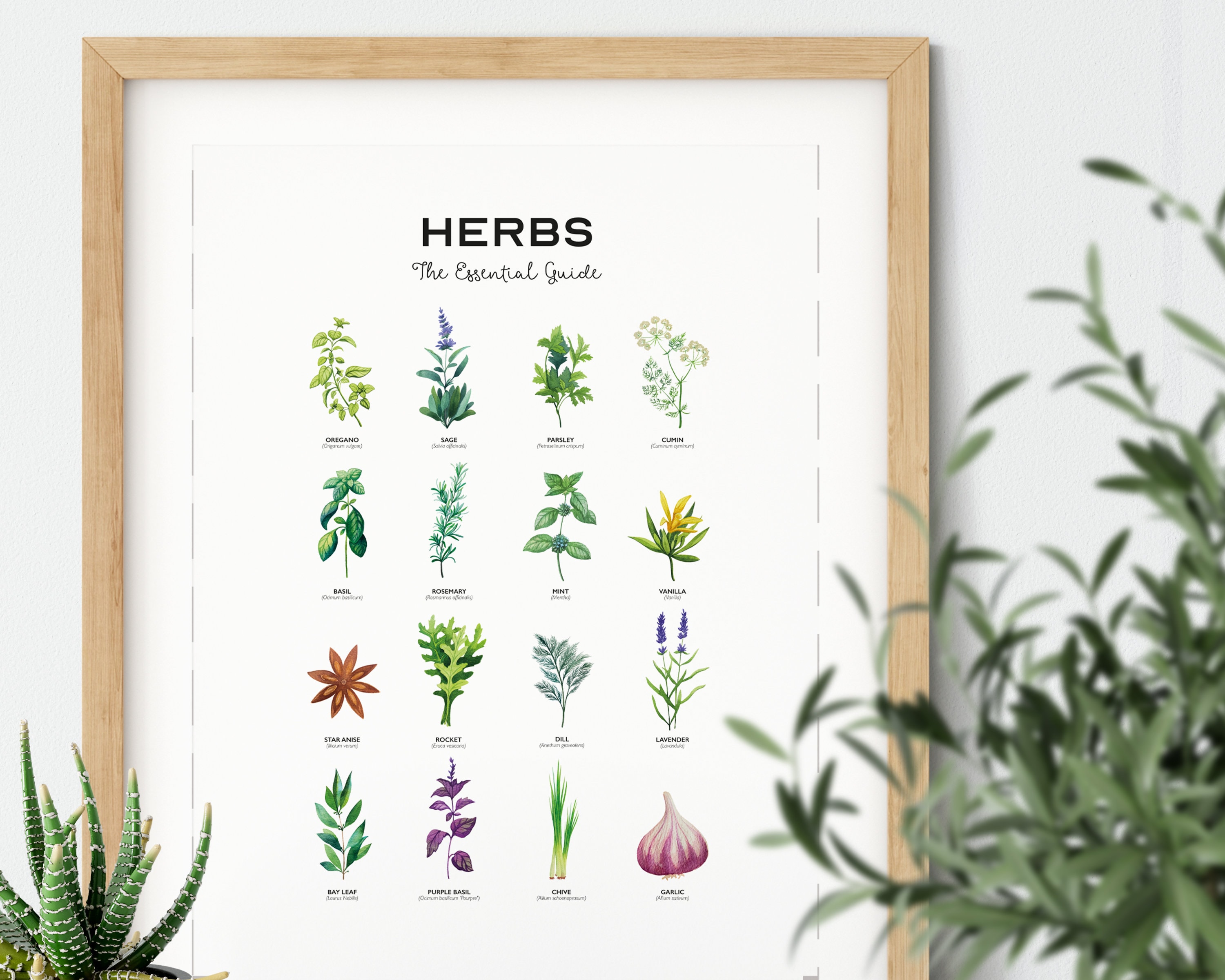 Kitchen Herb Print Herb Poster Herb Print Herbs and Spices | Etsy