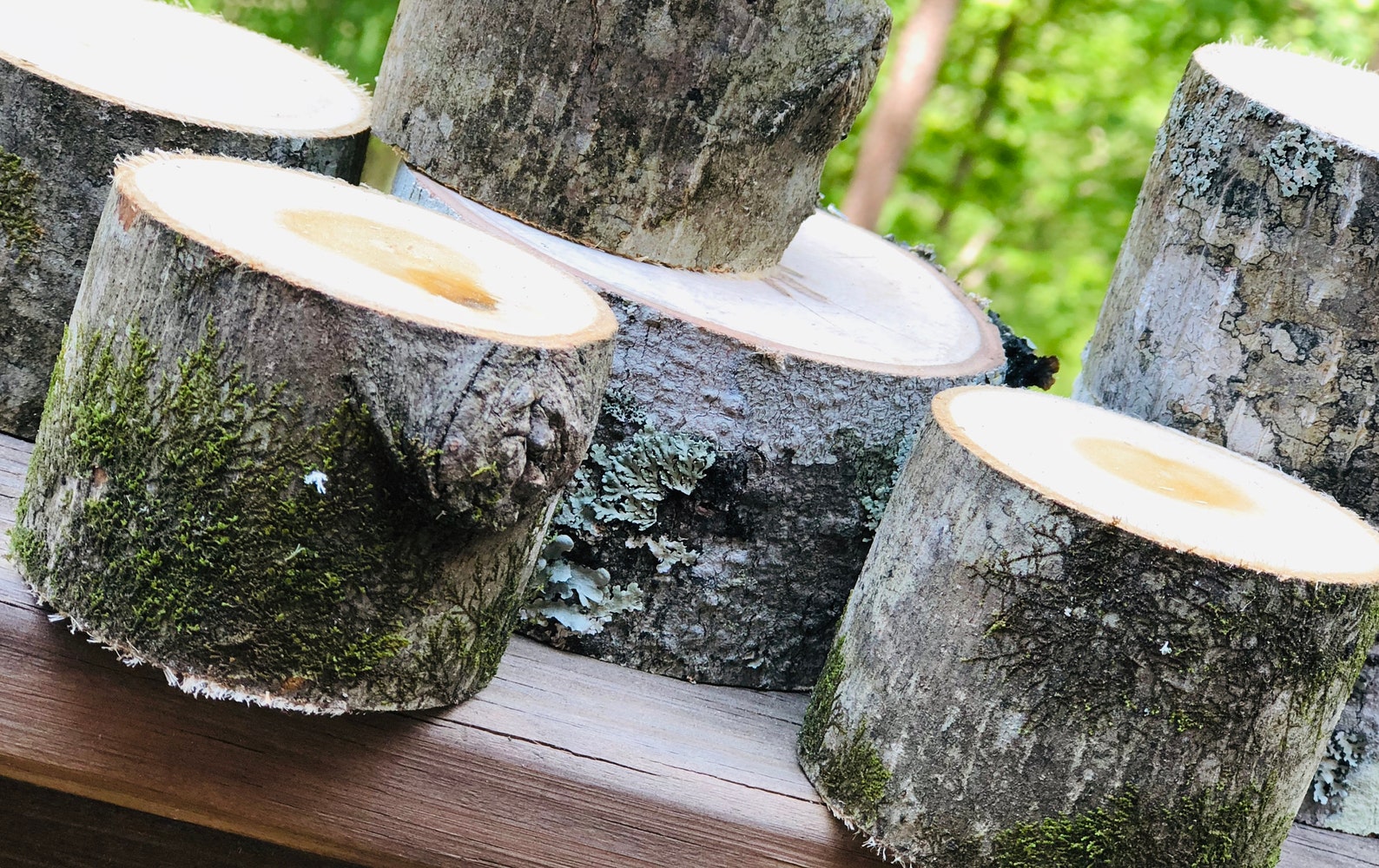 Rustic Wood Slice Rustic Tree Slice Rustic Wedding Decor | Etsy