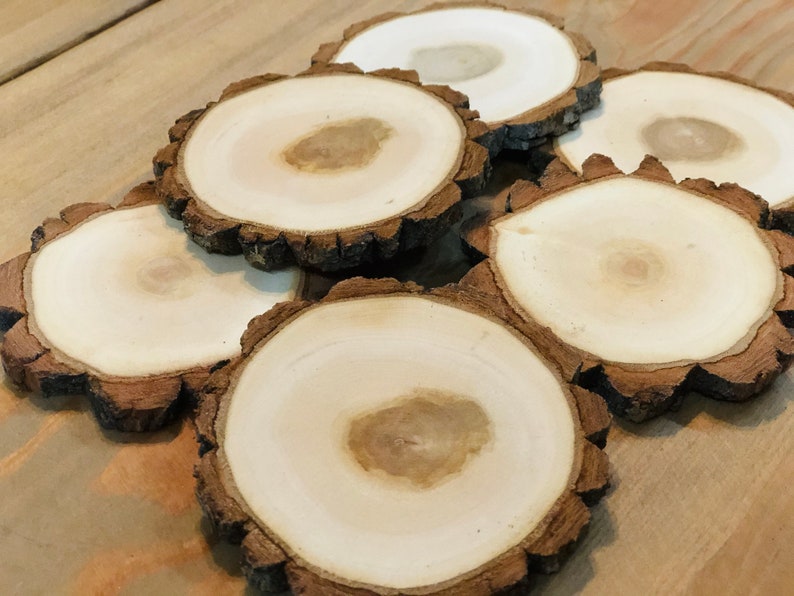 50 1-2" Wood Slices, Tree Slice, Rustic Wedding Decor, Wood Christmas ...