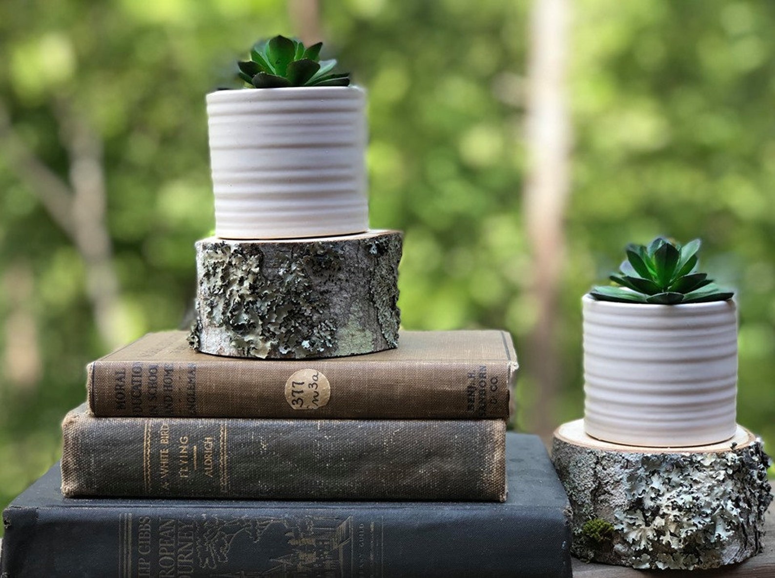 Rustic Wood Slice Rustic Tree Slice Rustic Wedding Decor | Etsy