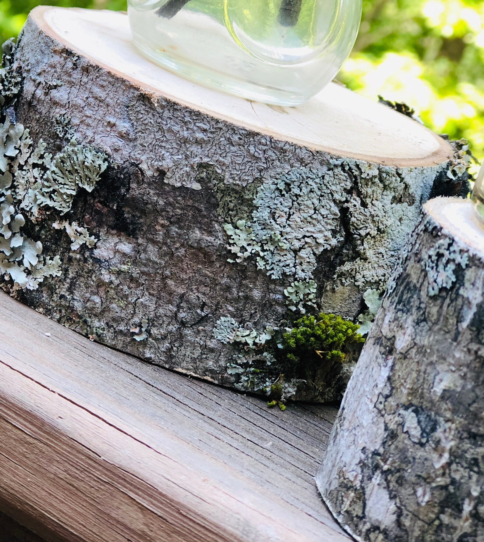 Rustic Wood Slice, Rustic Tree Slice, Rustic Wedding Decor, Rustic ...
