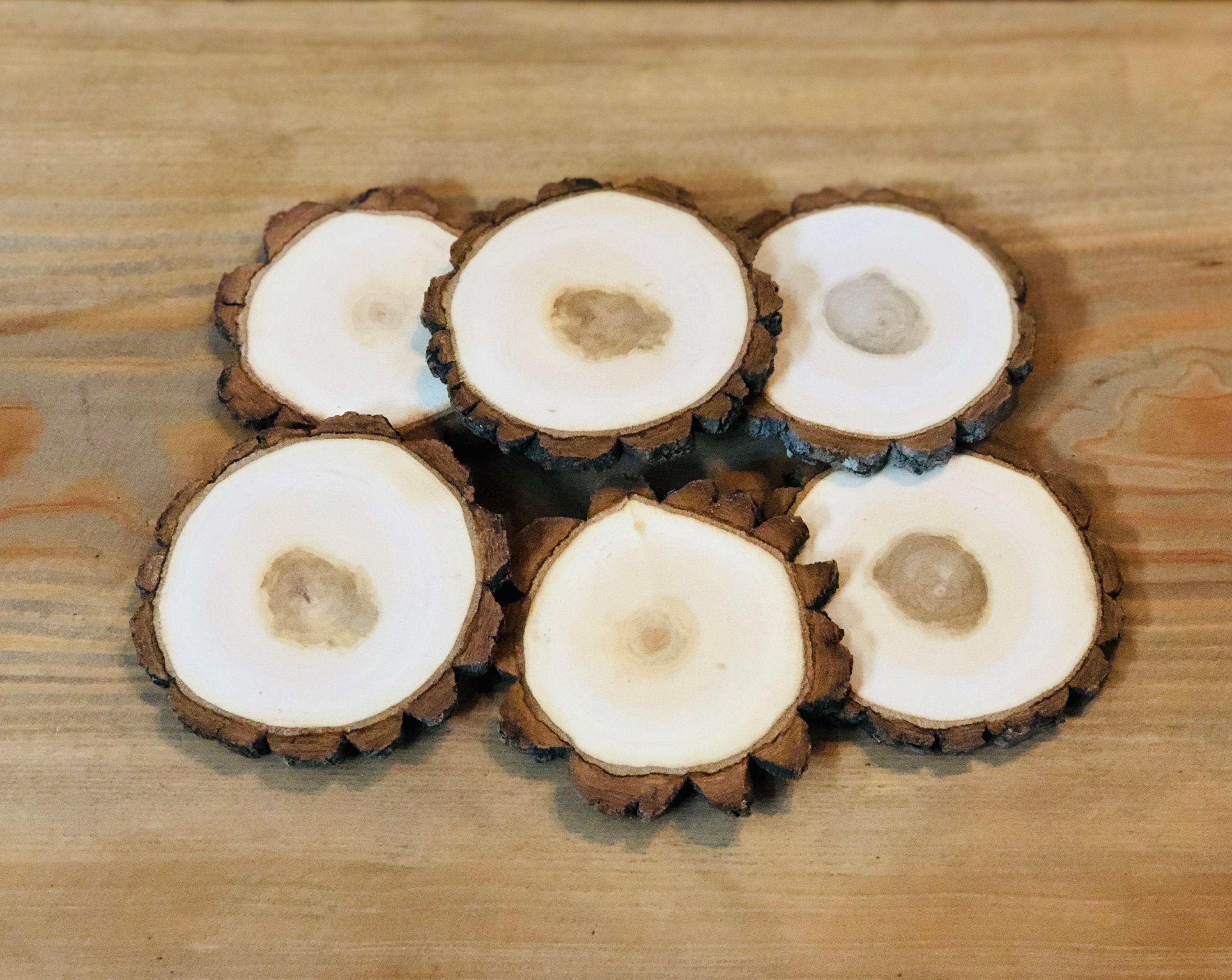 50 3-4 Wood Slices Tree Slice Rustic Wedding Decor - Etsy