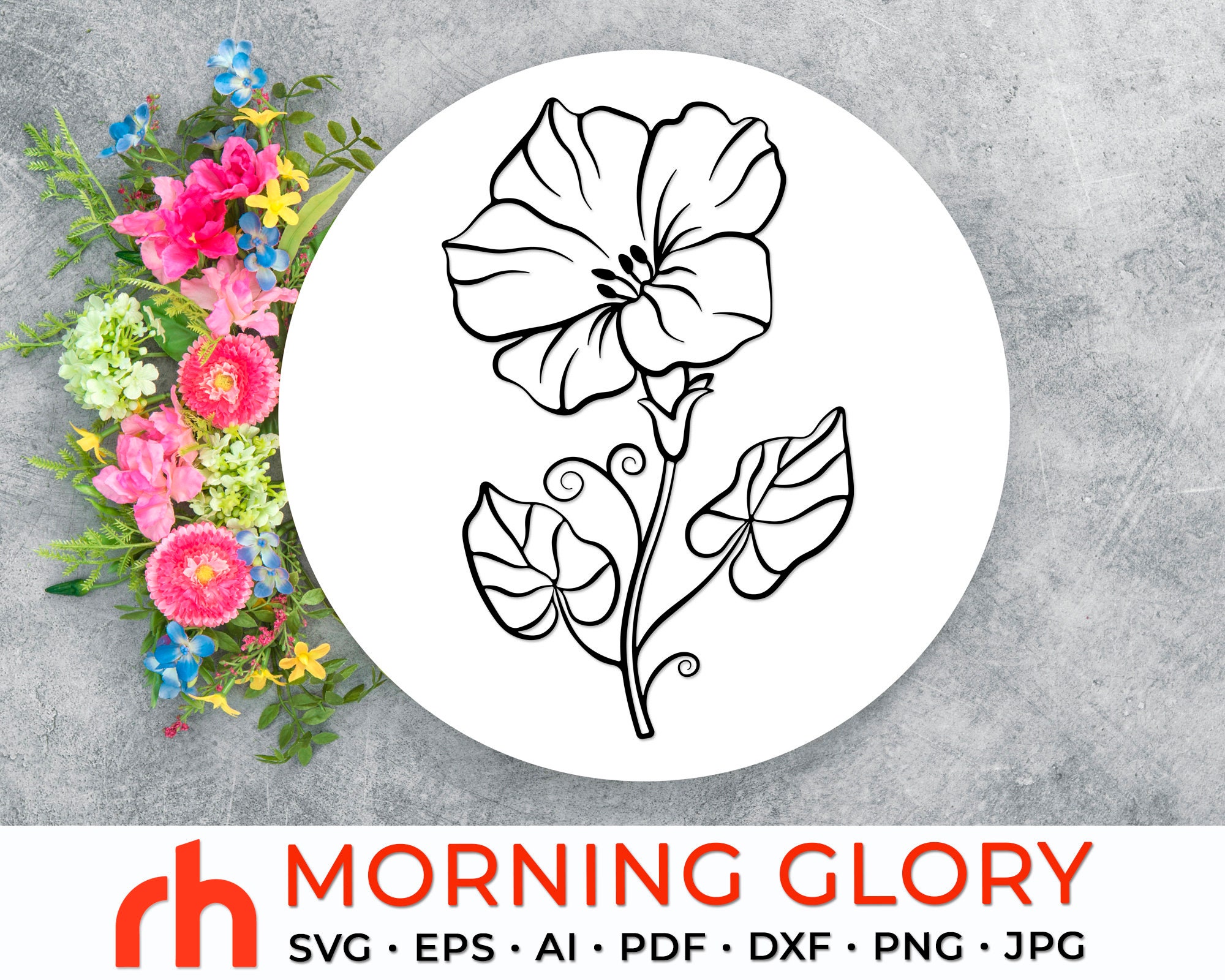 Morning Glory SVG Virgo Flower Cut File | Etsy