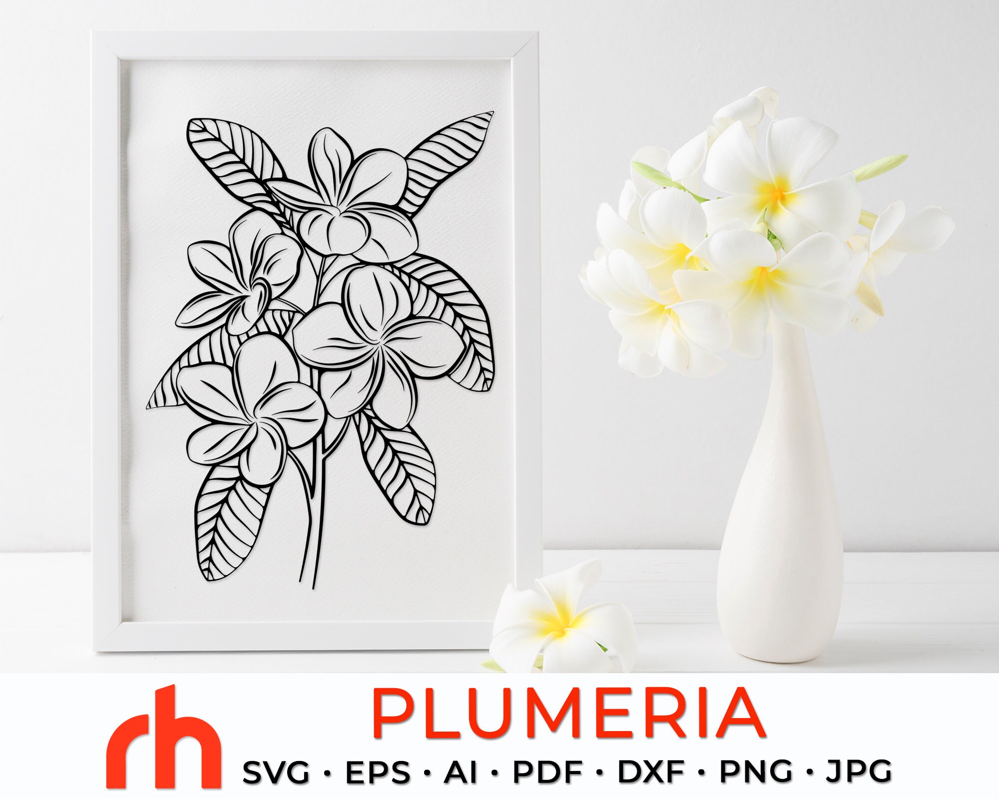 Plumeria SVG Frangipani Cut File - Etsy Australia