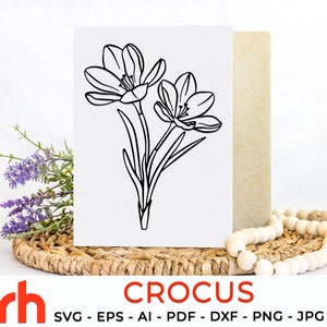 Crocus SVG, Spring Flower Cut File, March Birth Plant DXF, Crocus ...