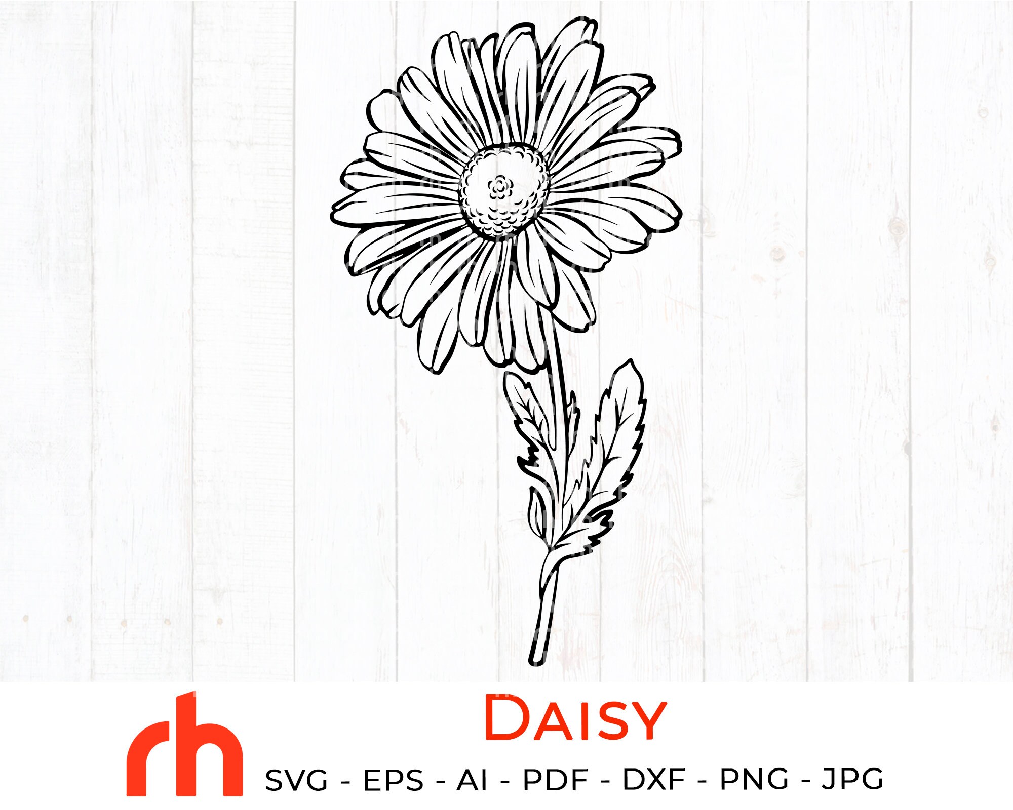 Daisy Svg April Birth Flower Svg Chamomile Silhouette Etsy
