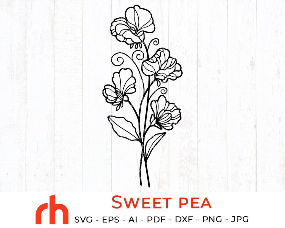 Sweet Pea Svg April Birth Flower Svg Sweet Pea Silhouette Etsy