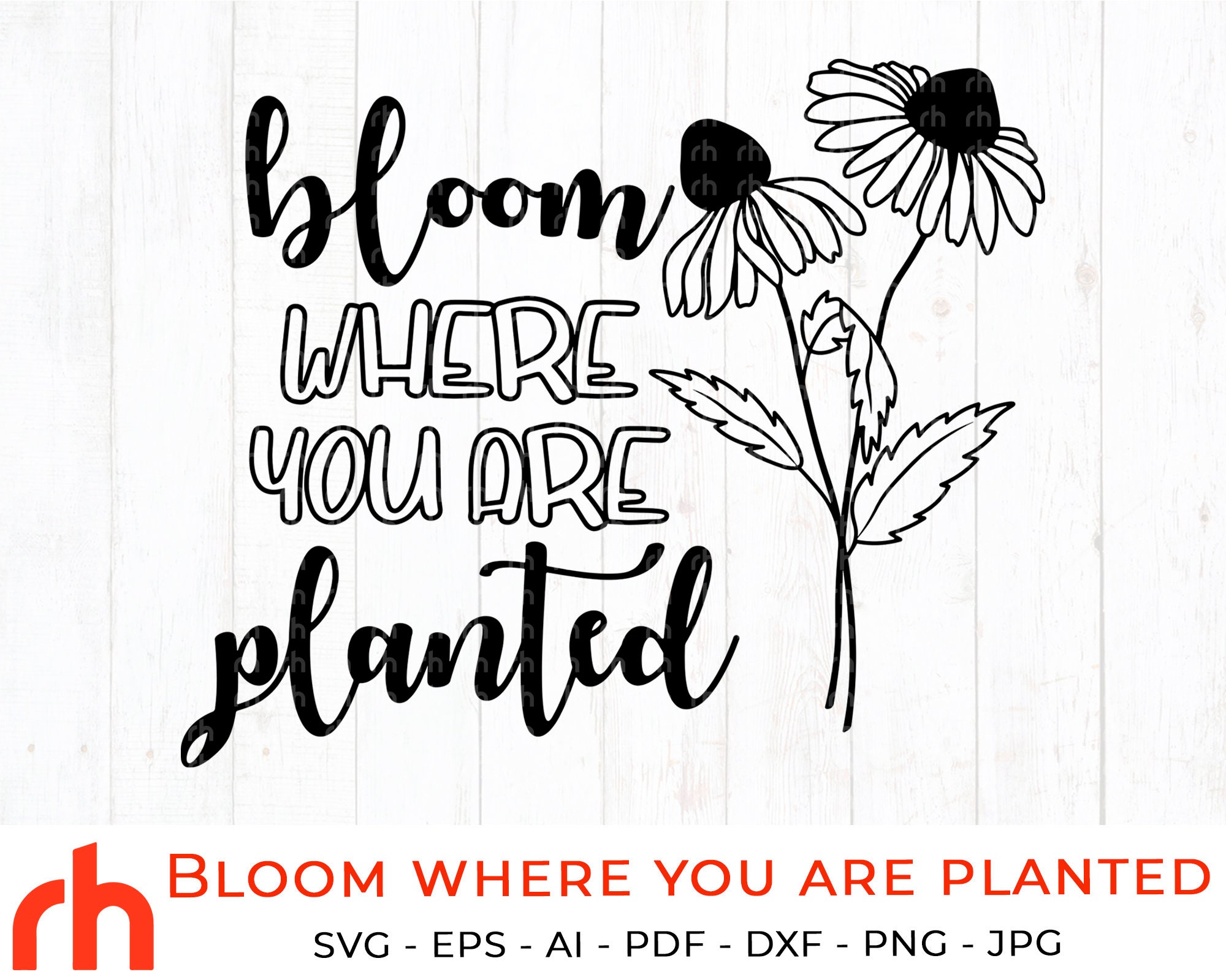Bloom where you are planted svg Inspirational quote svg | Etsy