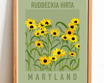 Black Eyed Susan - Etsy