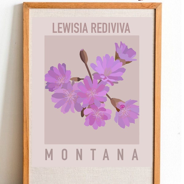 Bitterroot Flower - Etsy