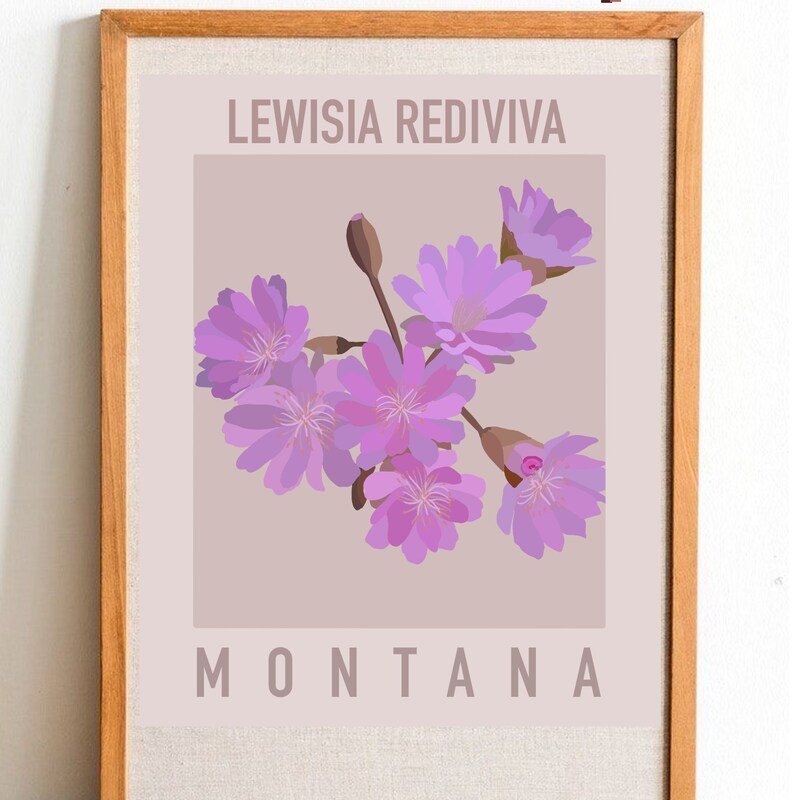 Bitterroot Flower - Etsy