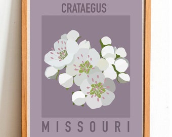 Hawthorn Flower Illustration / Printable / Art / Digital Download ...