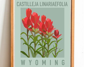 Indian Paintbrush - Etsy