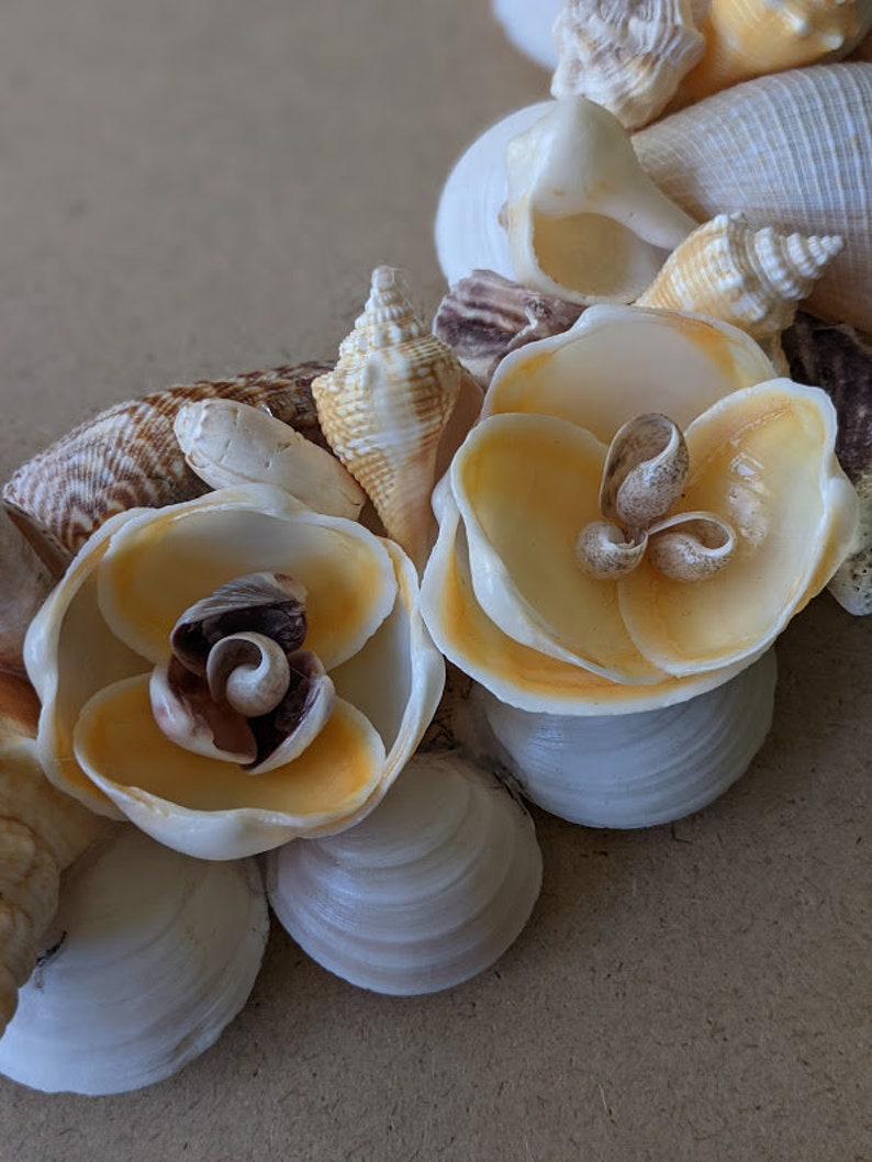 Medium Shell Wreath - Etsy