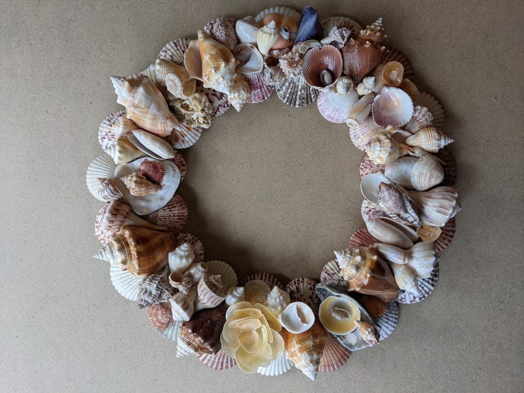 Medium Shell Wreath - Etsy