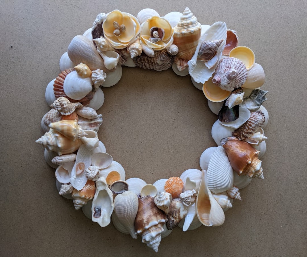 Medium Shell Wreath - Etsy