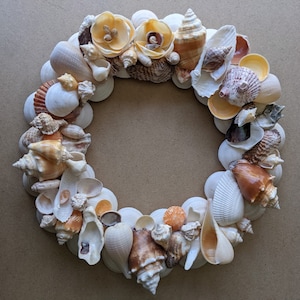 Medium Shell Wreath - Etsy