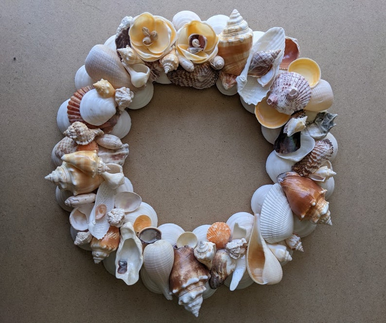 Medium Shell Wreath - Etsy