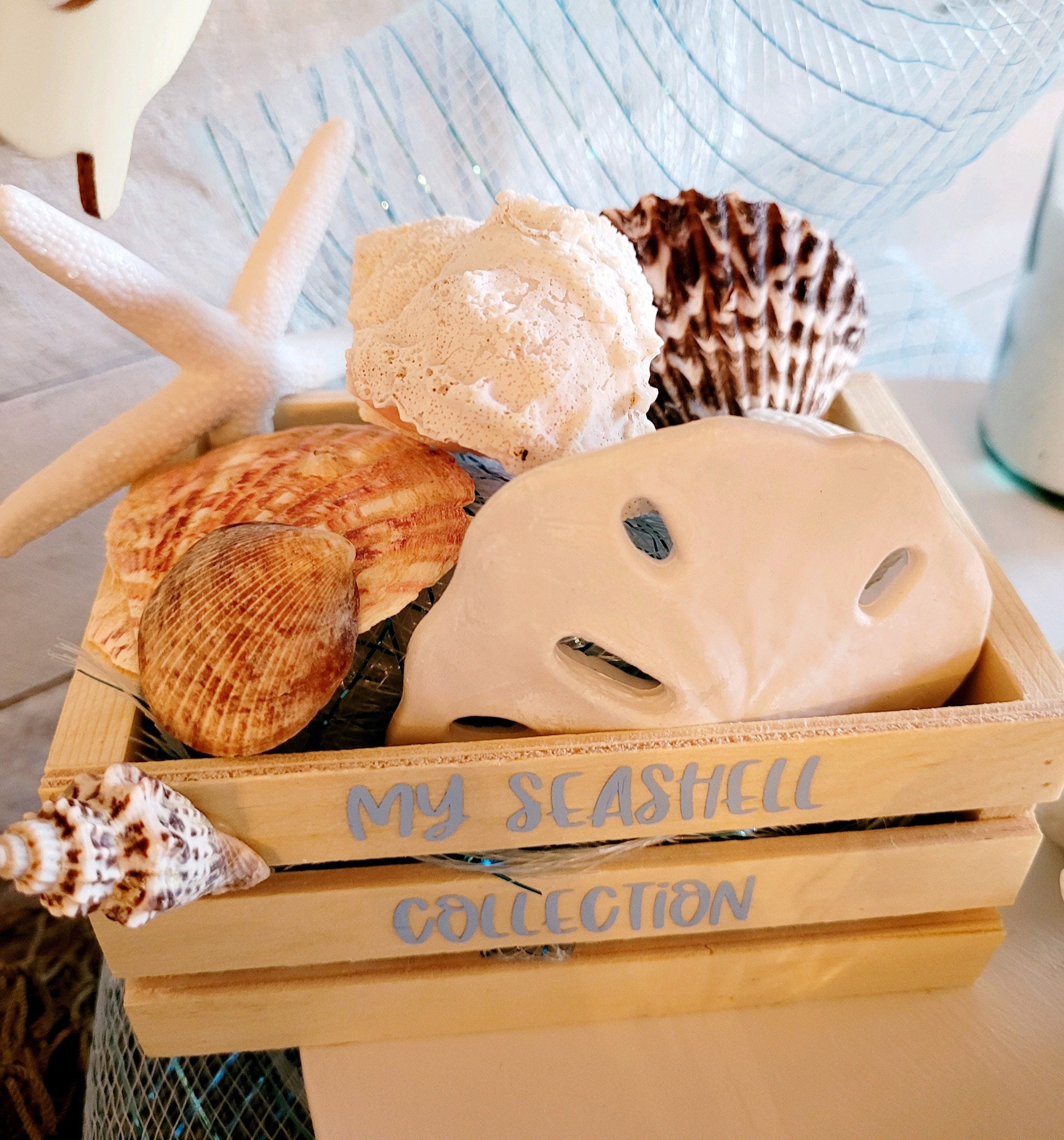 Mini Seashell Crate for Tiered Traymini Wood Cratemini - Etsy