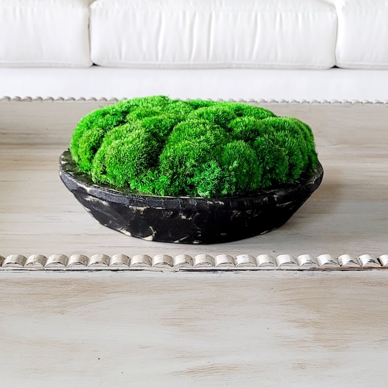 Moss Arrangement - Etsy