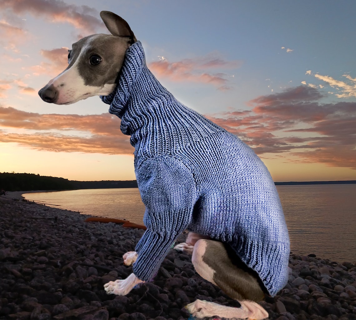 Italian Greyhound Sweater Knitting Pattern - Etsy