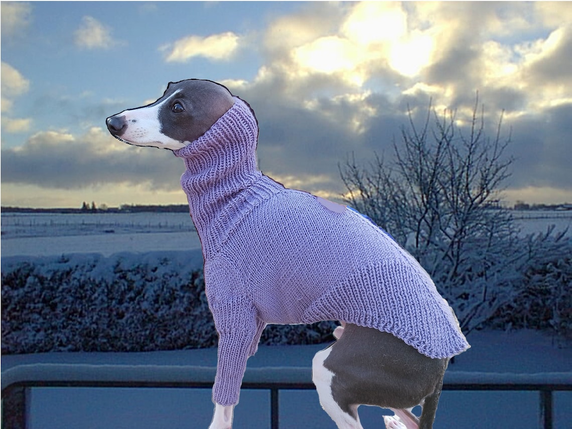 Italian Greyhound Sweater Knitting Pattern - Etsy