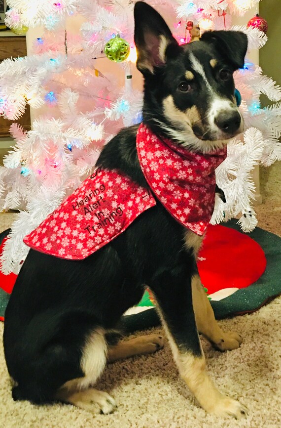 Custom Matching Service Dog/esa Vest and Bandanna Set | Etsy