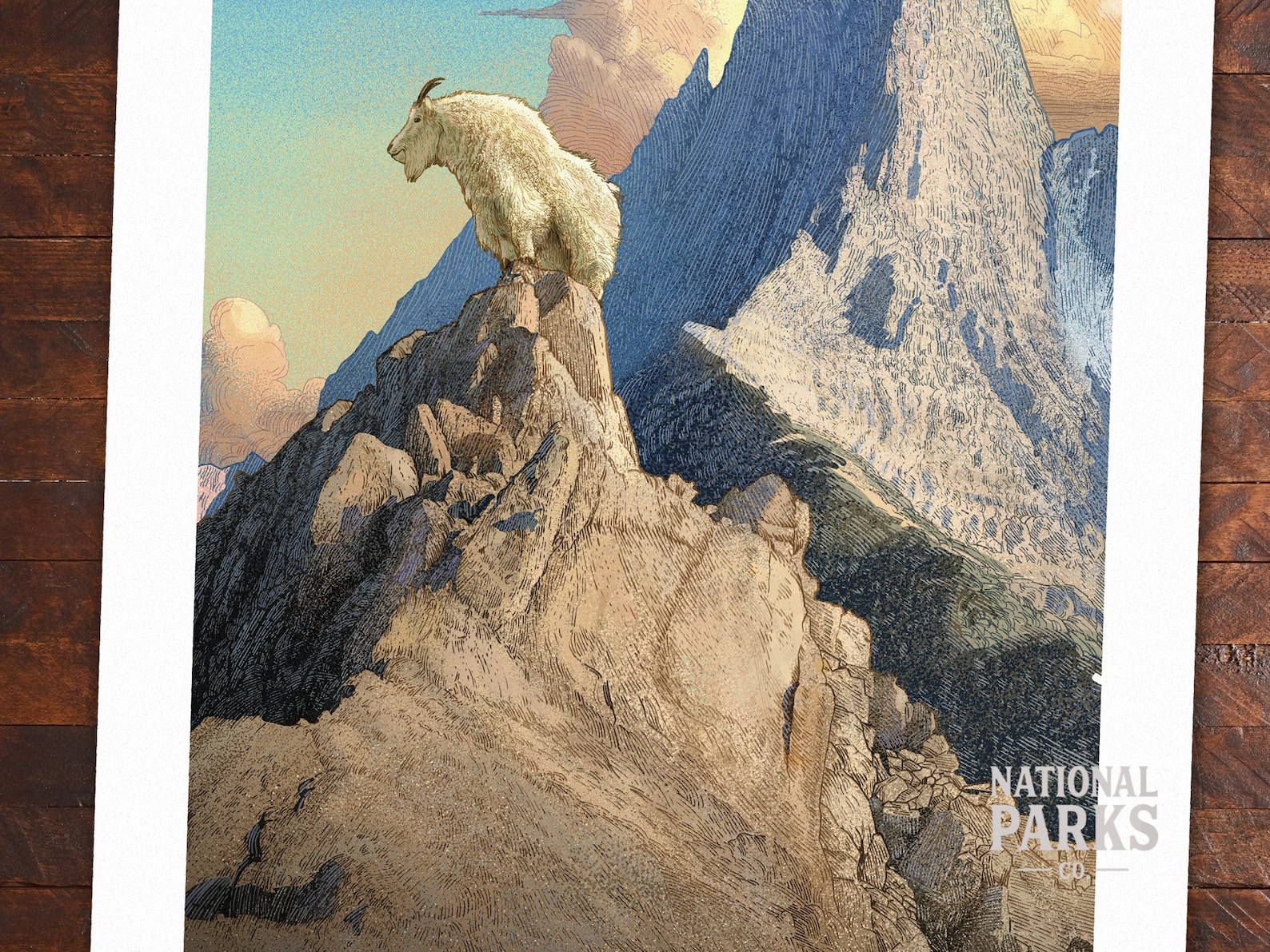 Mountain Goat Art by National Parks Co. Mountain Goat Print Mountain ...