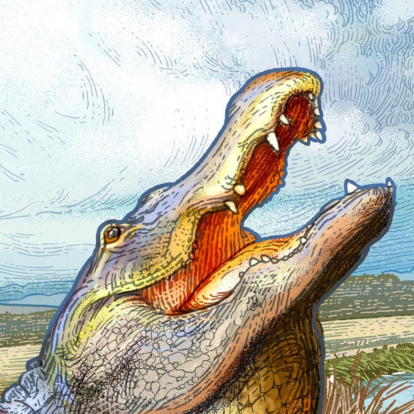Everglades Alligator Poster - Etsy
