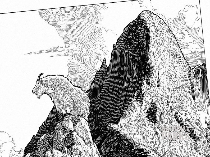 Mountain Goat Print | Mountain Goat Art | Mountain Drawing | Mountain ...