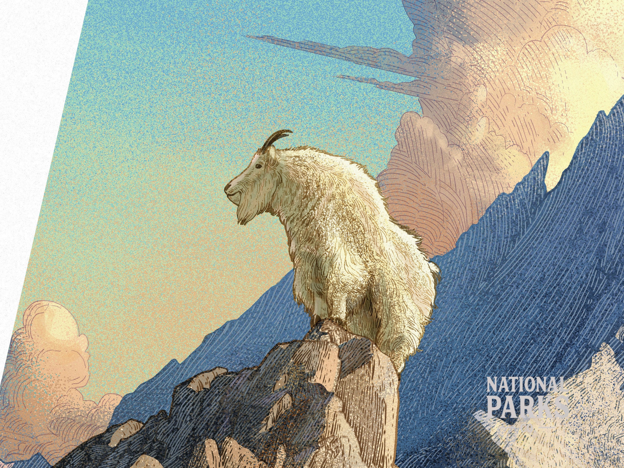 Mountain Goat Art by National Parks Co. Mountain Goat Print Mountain ...