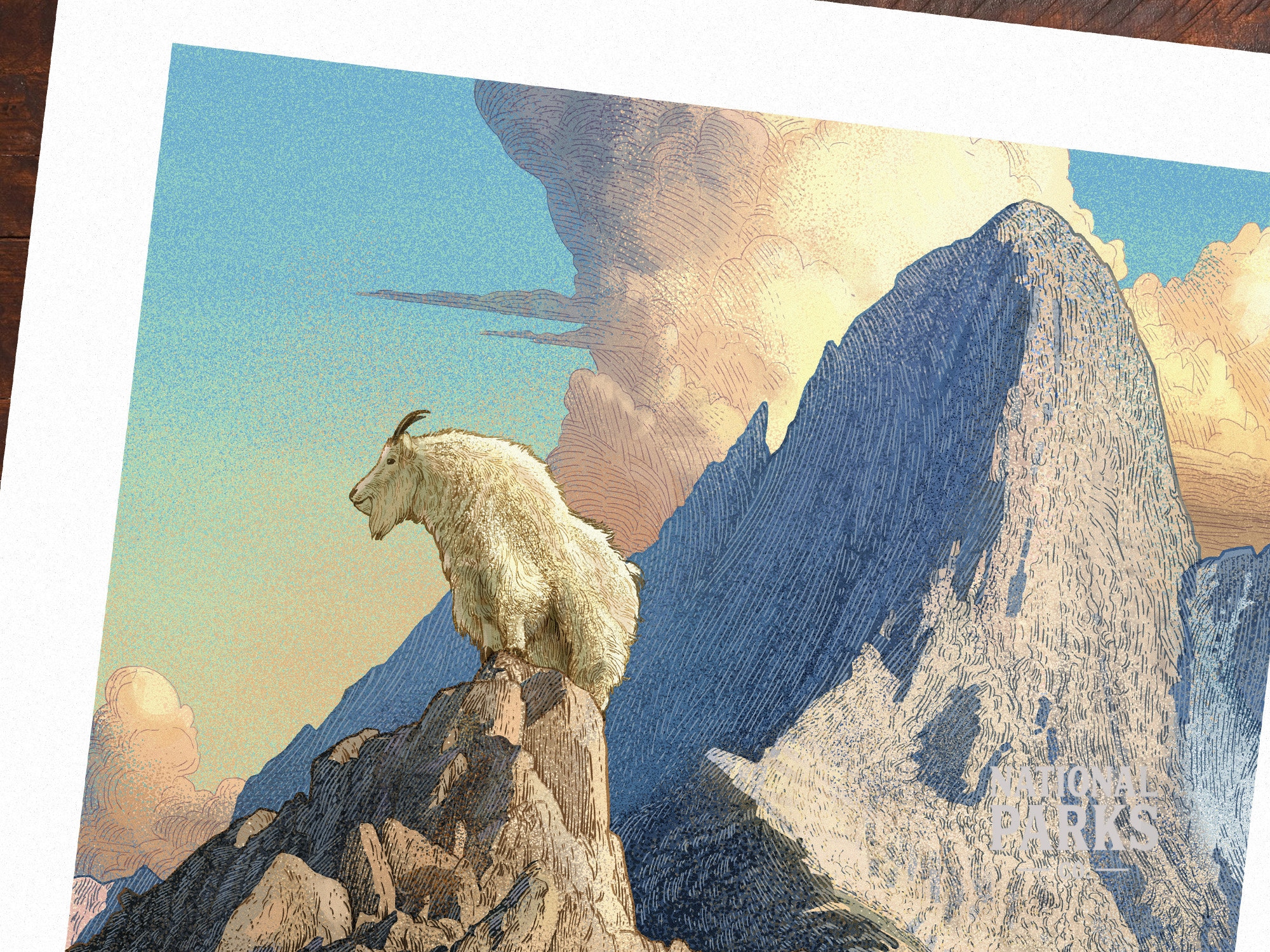 Mountain Goat Art by National Parks Co. Mountain Goat Print Mountain ...