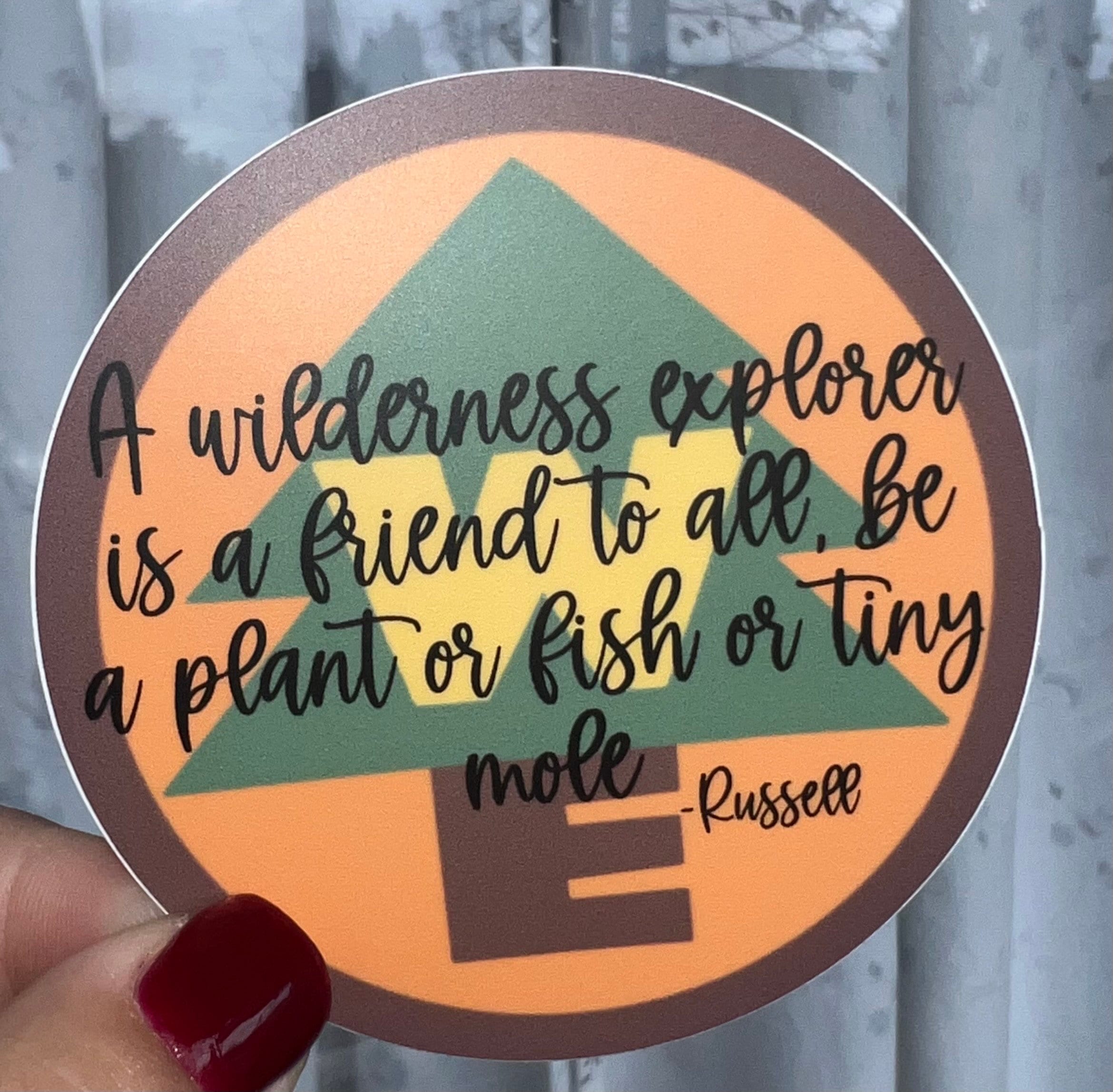 Up Quotes Russell Wilderness Explorer